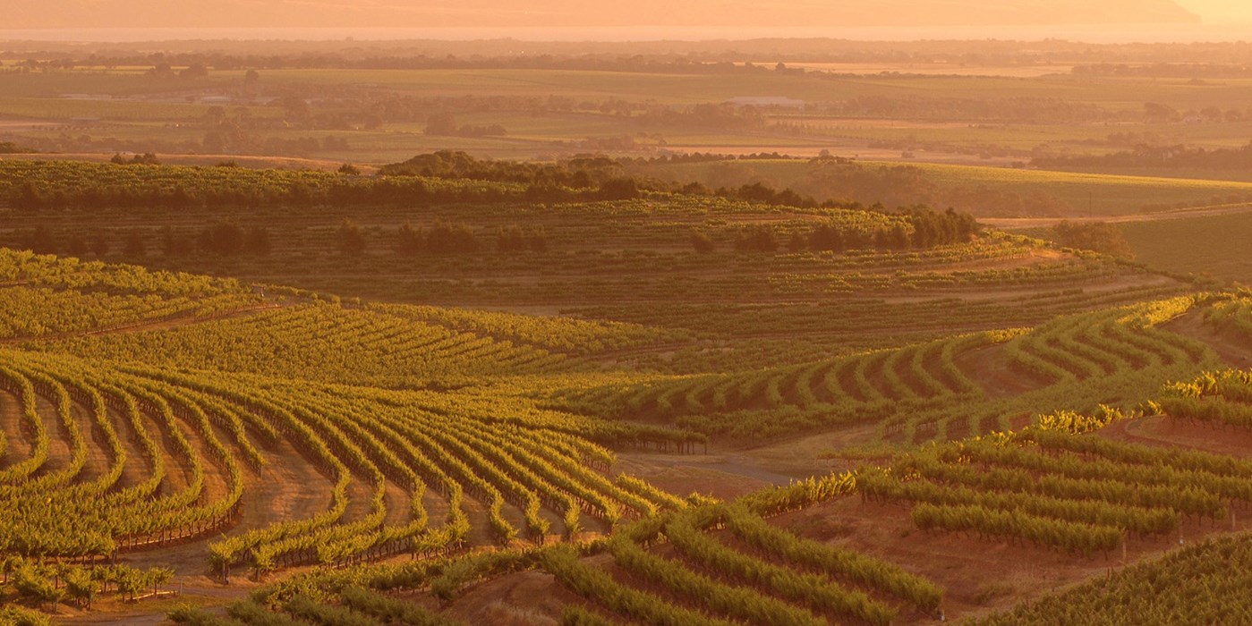 Understanding your statement