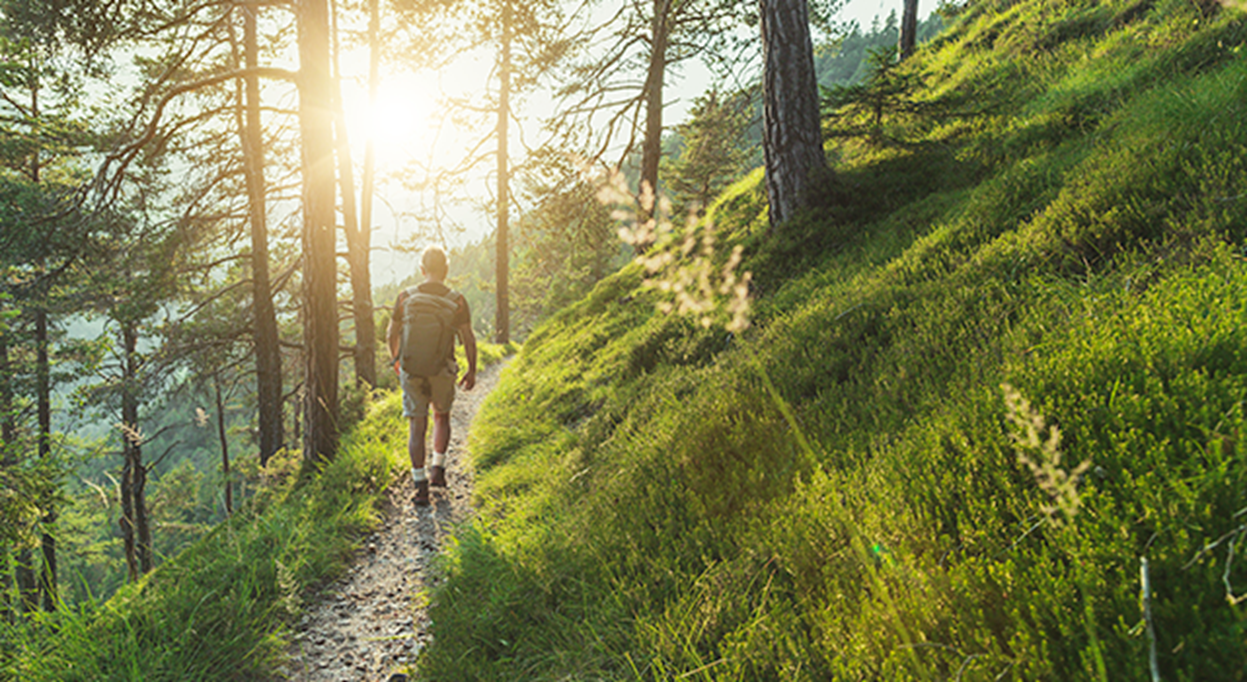 Flexible Rollover Product